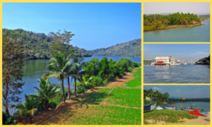 Major Rivers of Goa and Their Significance